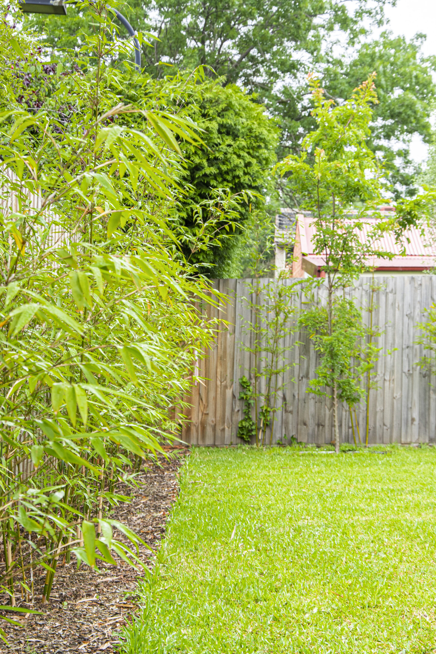 Serpentine Garden, Landscape Design & Construction - PATH Design Studio